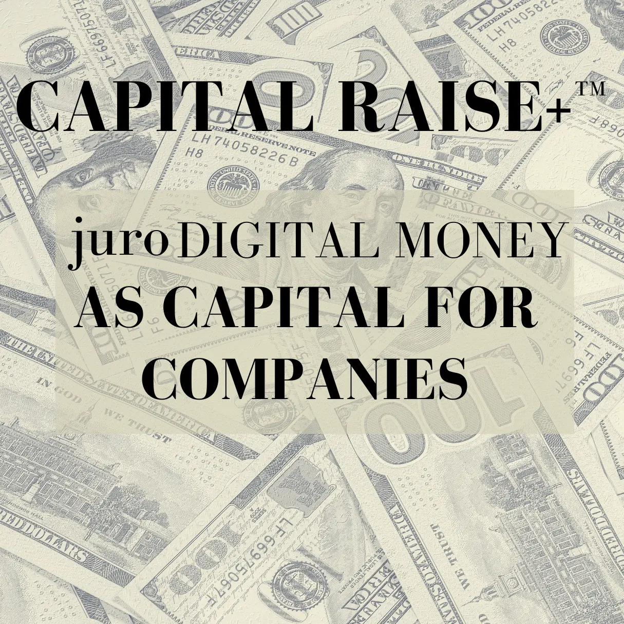 Capital Raise+ | Juro Organization